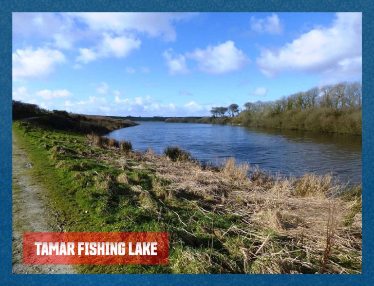 The 10 Best Carp Lakes in Cornwall (Specimen Fishing) - Fishing Tackle Setup Tips & Guides