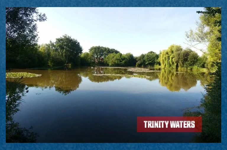 12 Best Carp Fishing Lakes in Somerset (Specimen Fisheries) - Fishing ...