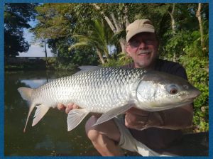 13 Types of Carp: A Comprehensive Guide to Carp Species - Fishing ...