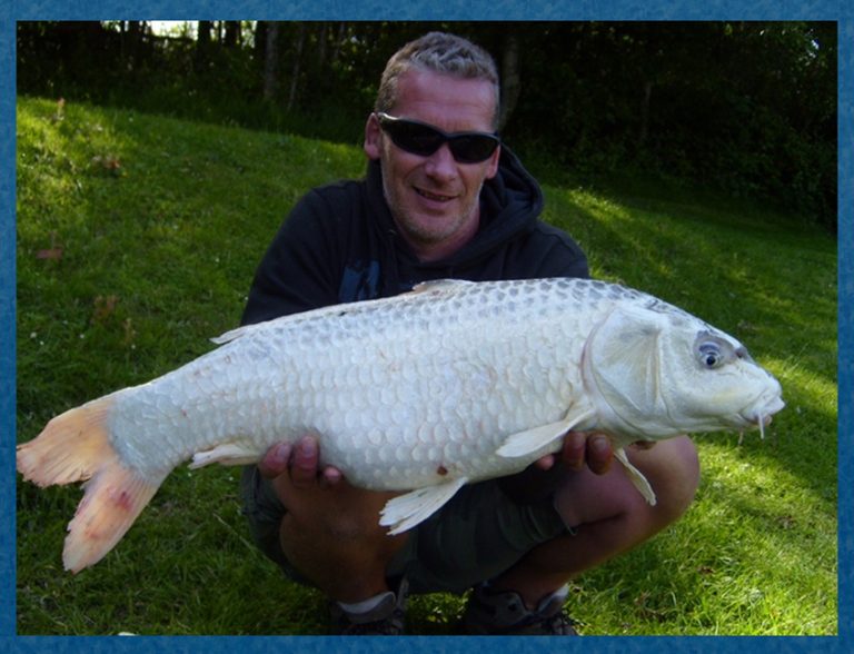 What Is A Ghost Carp Fish? (Koi) Ultimate Fishing Guide - Fishing ...