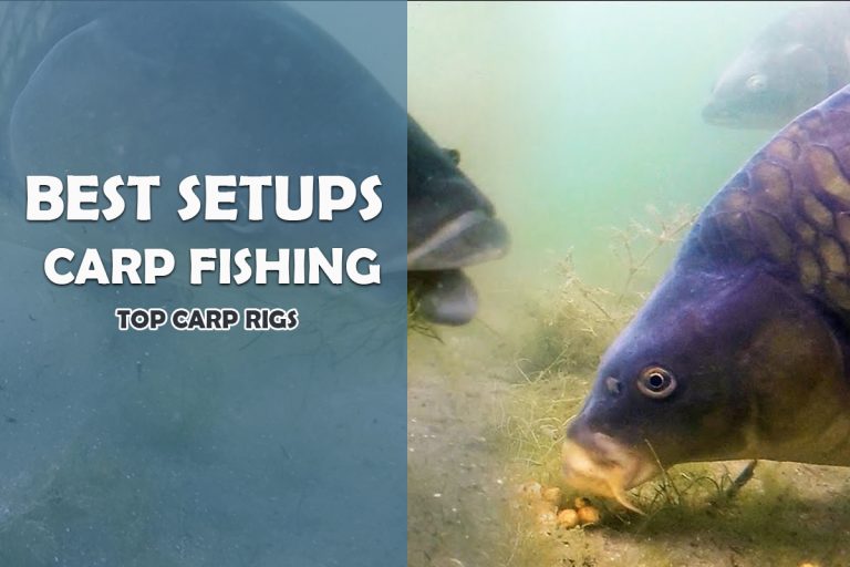 Best Carp Fishing Set Ups - Ultimate Guide 2023 - Fishing Tackle Setup ...
