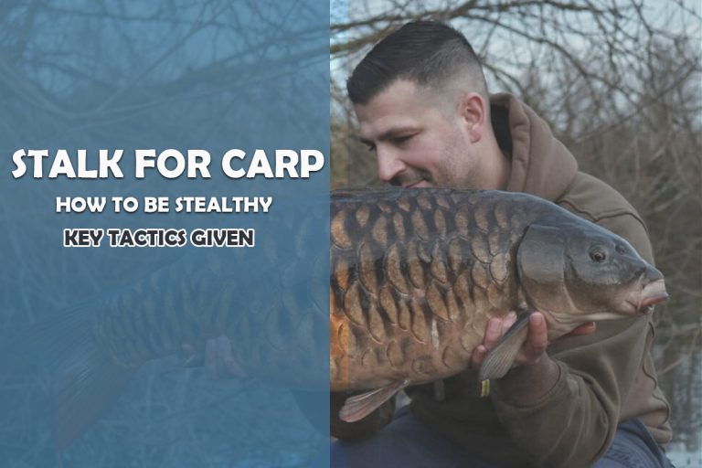 How To Catch Carp with Corn: The Ultimate Carp Fishing Guide - Fishing ...